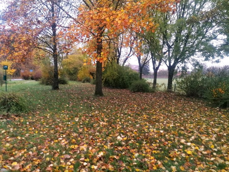 Loisirs Sport/ Marche, randonnée: Point vert Adeps, 48 ème Marche des ...