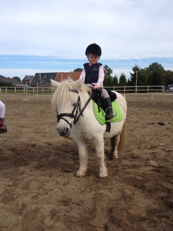 Equitation: Baby-poney - Horrues (Hainaut)