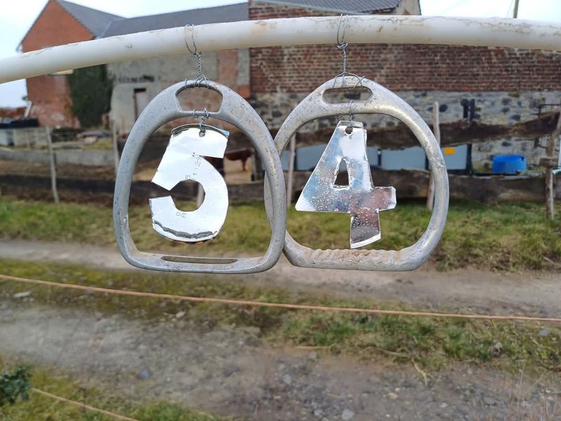 Loisirs Visite, balade: Balade en poney - Bothey (Namur)