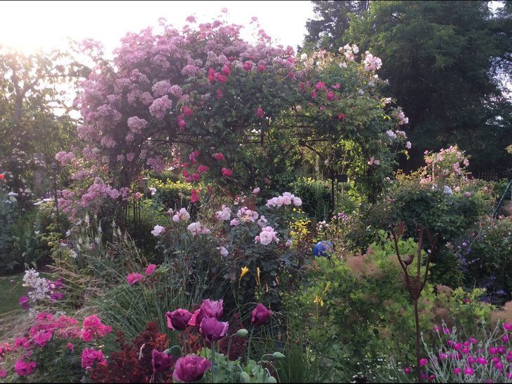 Loisirs Visite, balade: Visite du jardin de Maryse et Phil. Kuppens ...